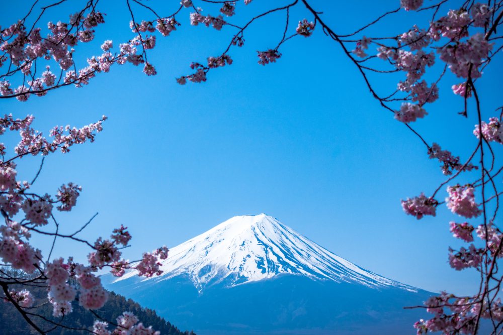 tefl online pro - Teach English in Japan in 2026